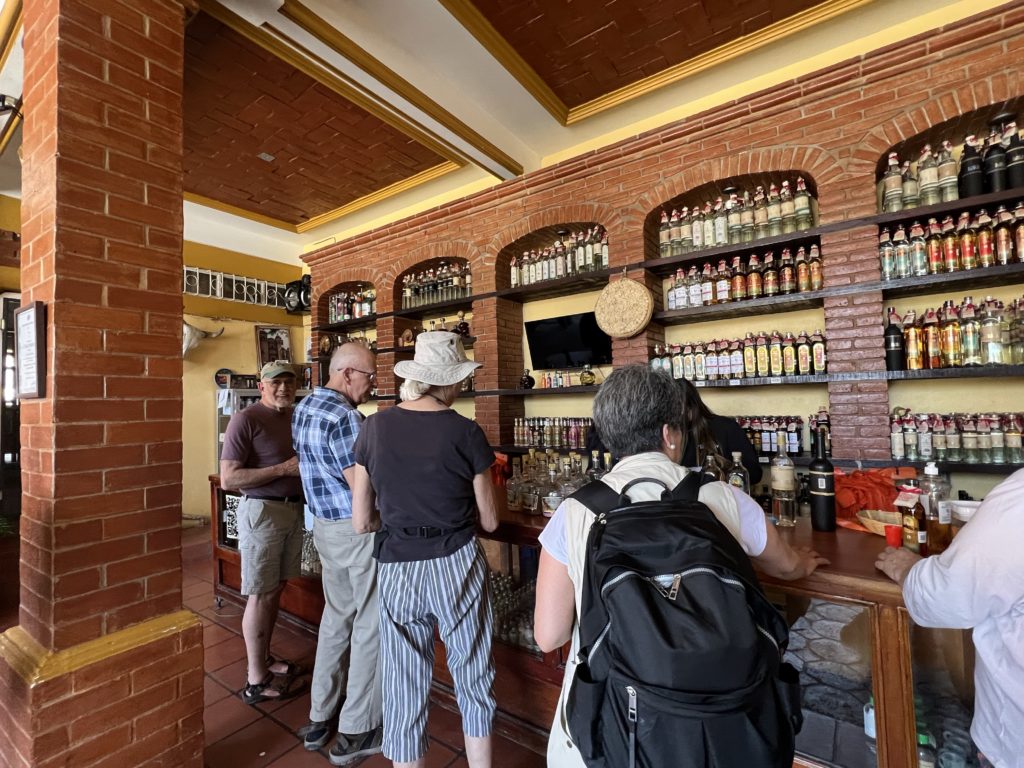 Tule Two Thousand | Around the World with Marsha & Joel