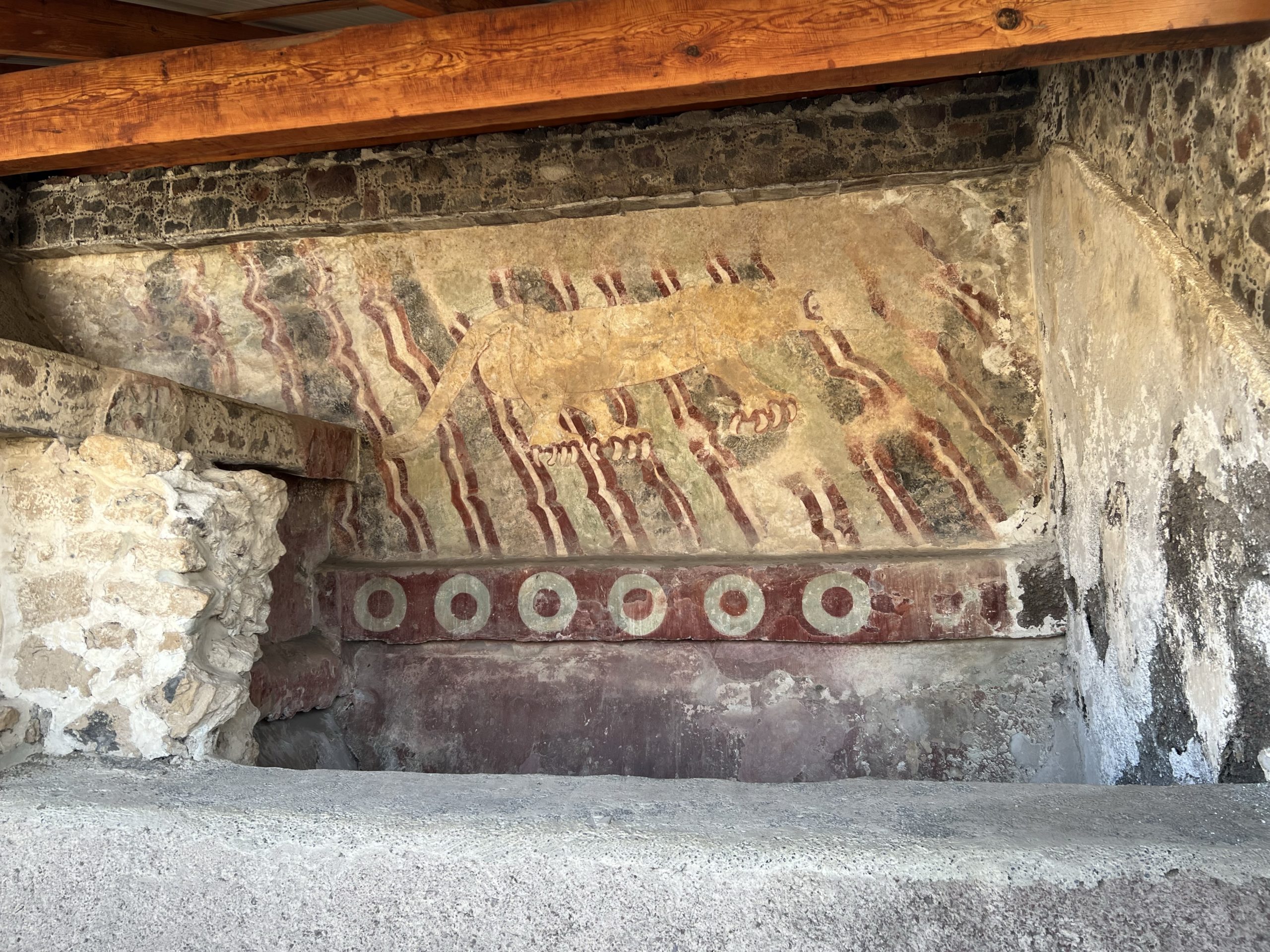 The Moon, The Sun and Seeing Stars | Around the World with Marsha & Joel