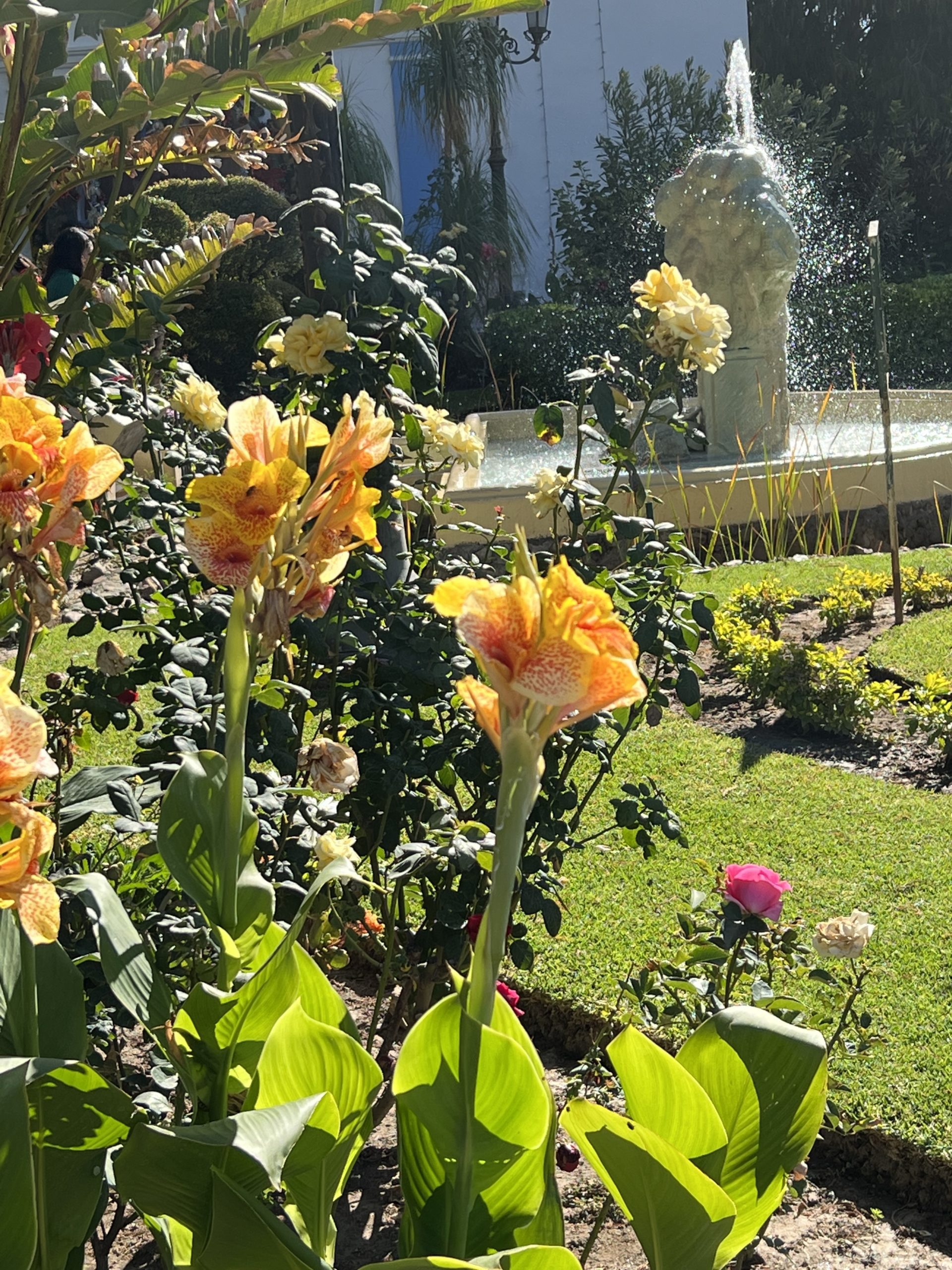 Tule Two Thousand | Around the World with Marsha & Joel